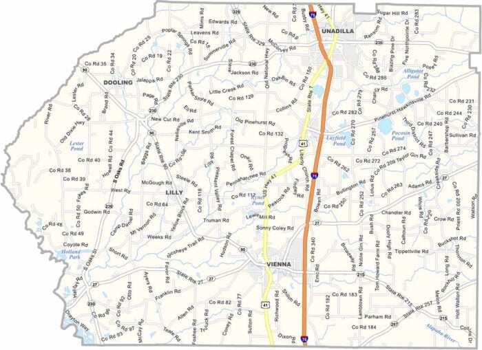Dooly County Map, Georgia - US County Maps