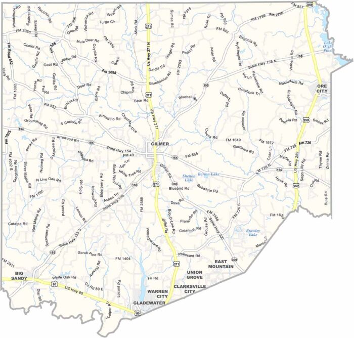 Smith County Map, Texas - US County Maps