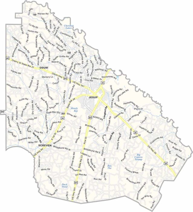 Wayne County Map, Georgia - US County Maps